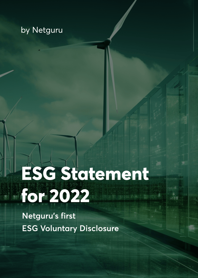 ESG Statement - Netguru’s commitment to ESG practices